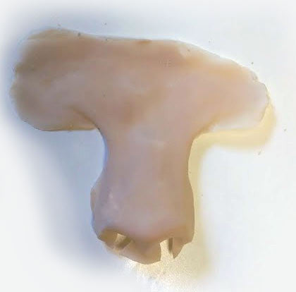 Faun Mask - Small – Aradani Costumes